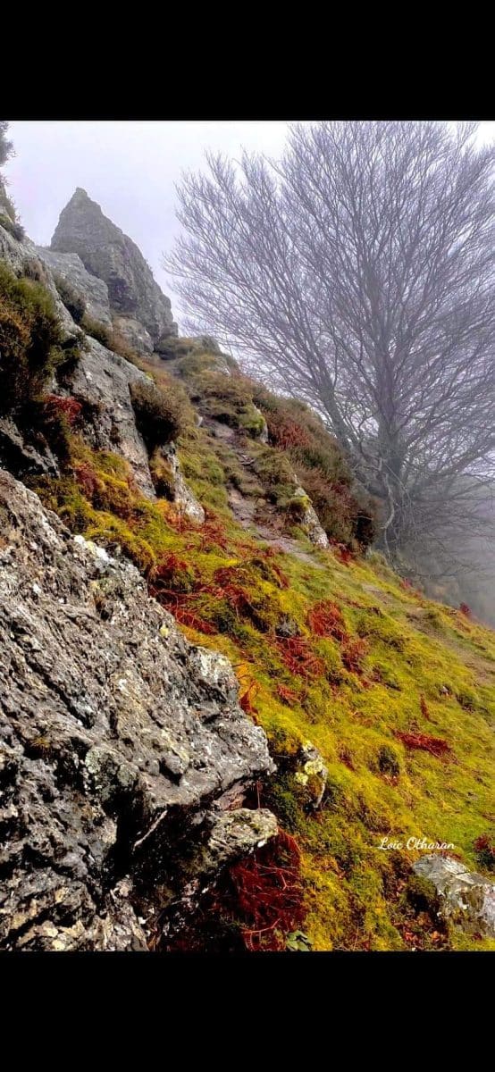 Solide Comme Un Roc Loïc Otharan