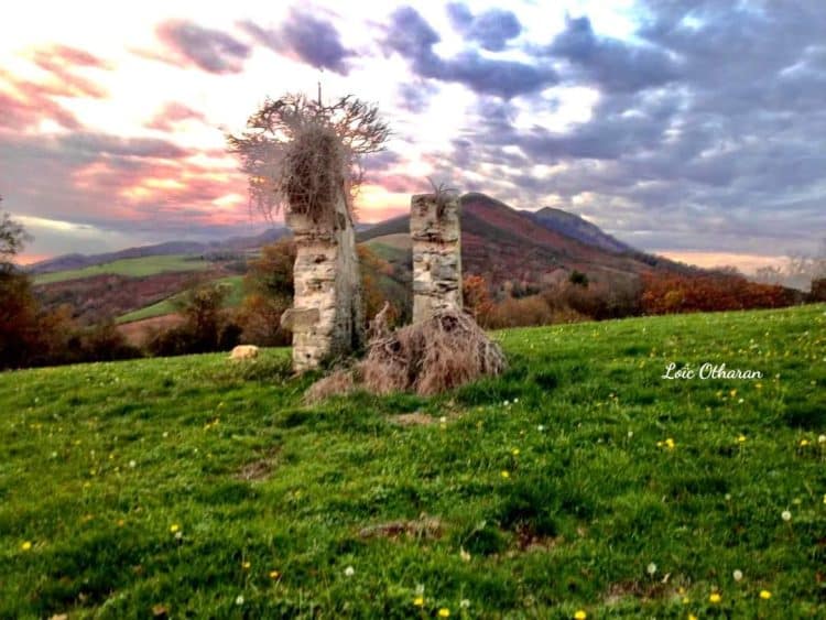 Solide Comme Un Roc Loïc Otharan