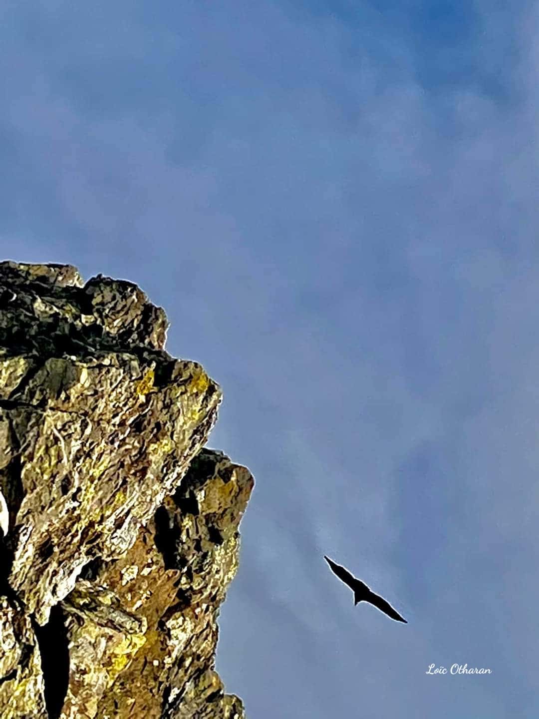 Solide Comme Un Roc Loïc Otharan